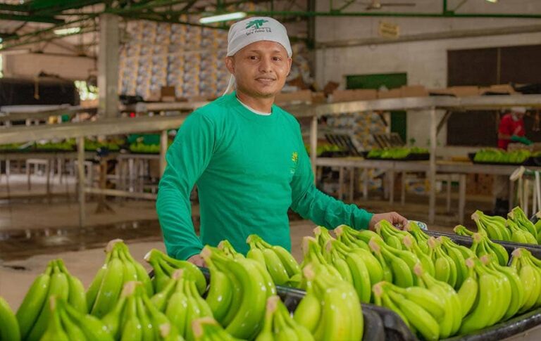 Unidad de Producción Agrícola - UPA | Uniban